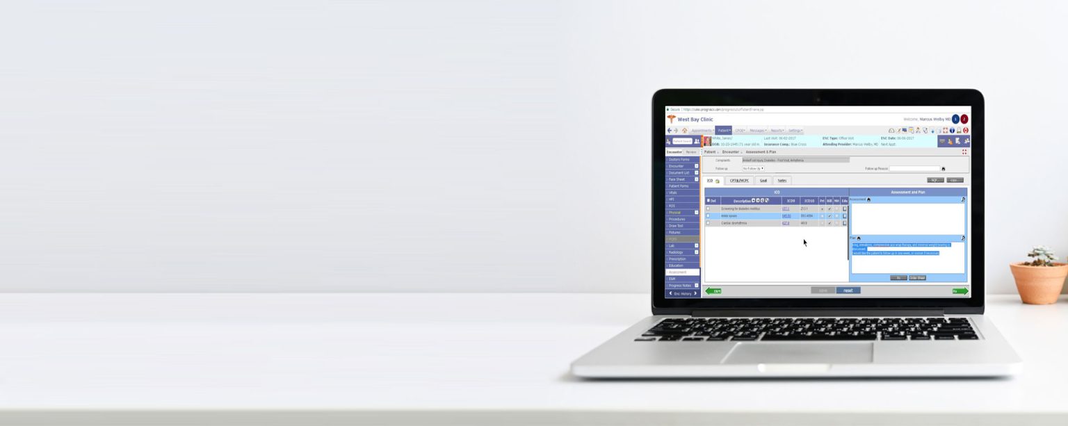 PrognoCIS EMR Support | RCM Services For Epic EHR Users