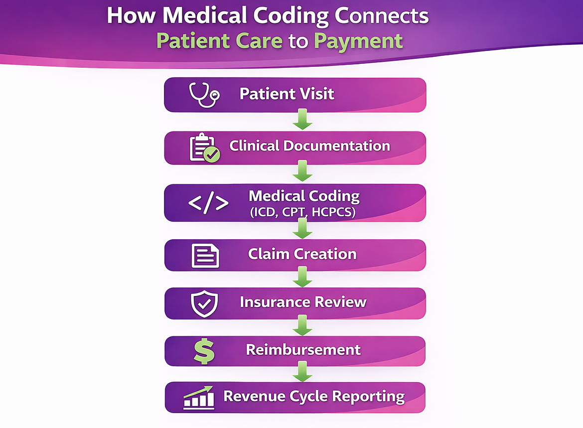 Medical Coding: Types, Importance, Process, and Rules